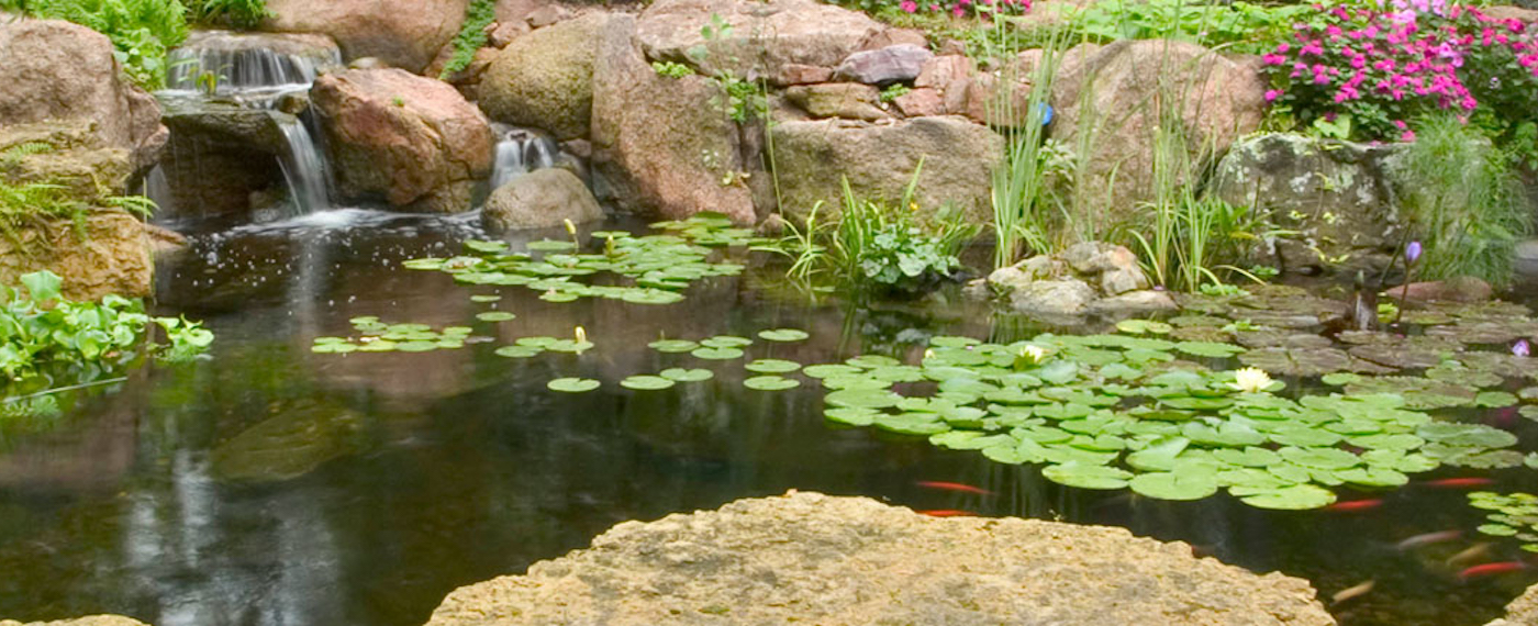 Aquascape Paradise – Water Feature & Hardscape Installstion & Maintenance